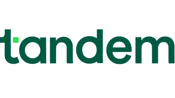 Tandem Bank records second year of profitability - FStech Financial ...